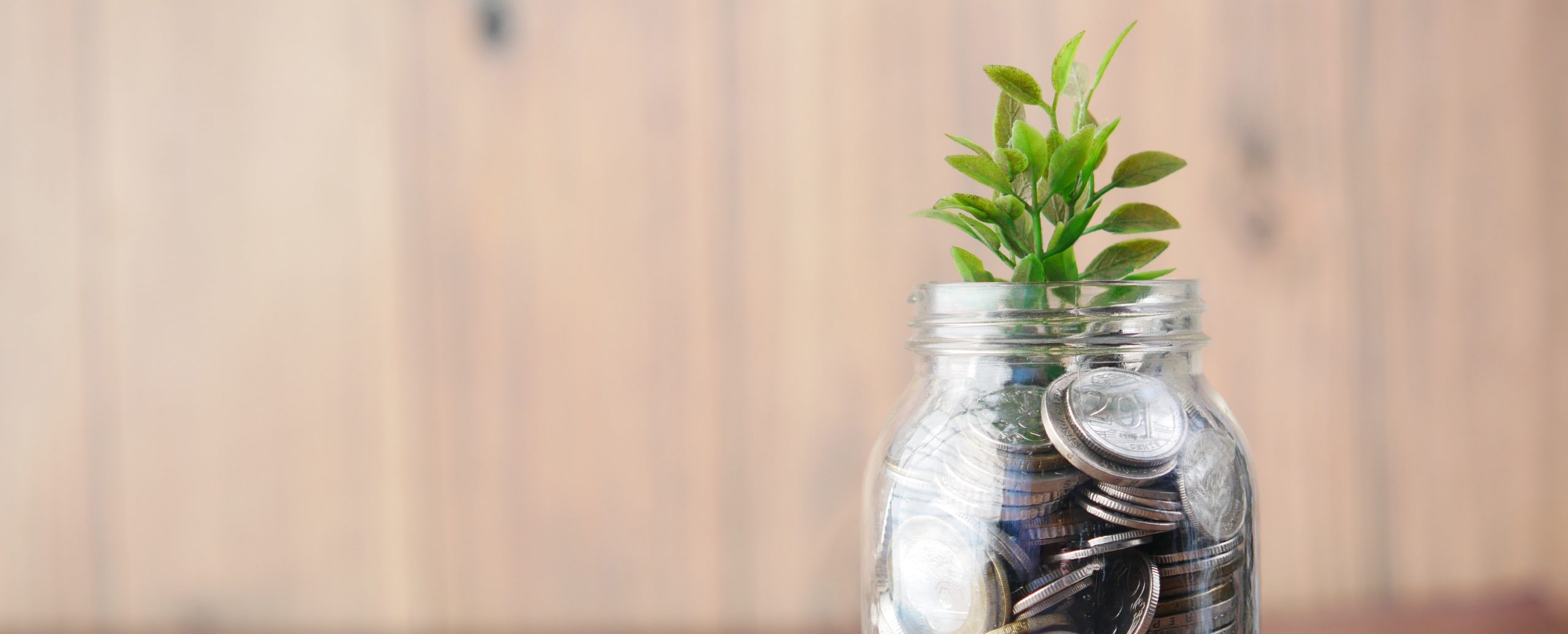 subsidie - Woonwijzerwinkel